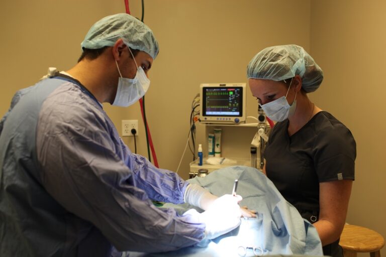 Surgery - Circle B Veterinary Hospital